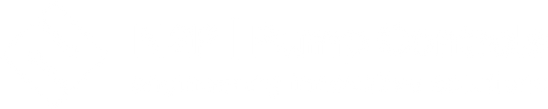 N2P | Pump Controls